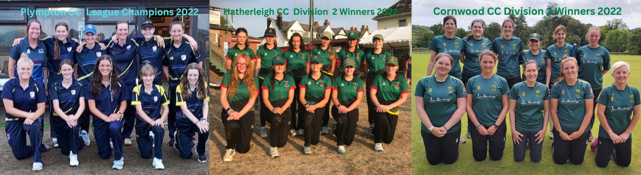 Tolchards Devon Women's Cricket League Executive Committee - Devon Cricket